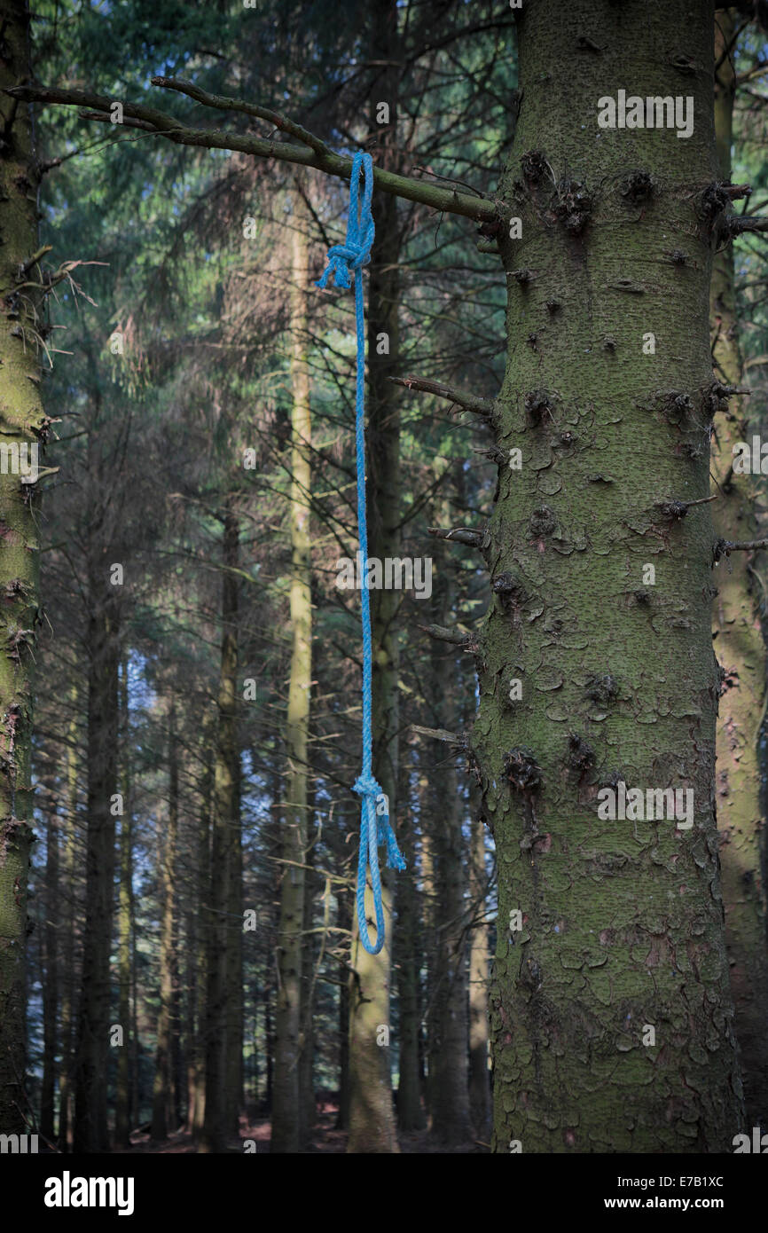 Selbstmord wald -Fotos und -Bildmaterial in hoher Auflösung – Alamy