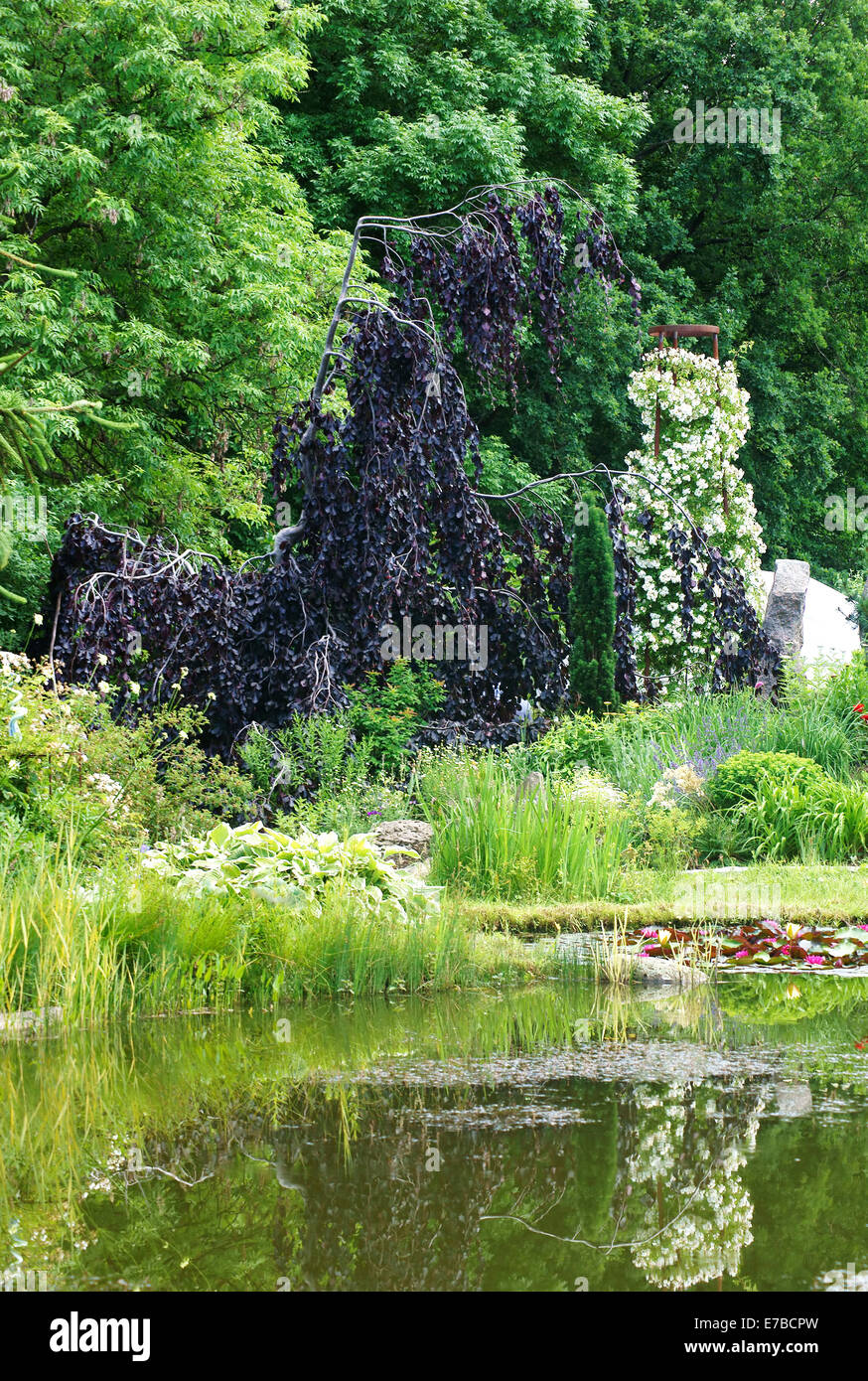 Idylle idyllisch -Fotos und -Bildmaterial in hoher Auflösung – Alamy