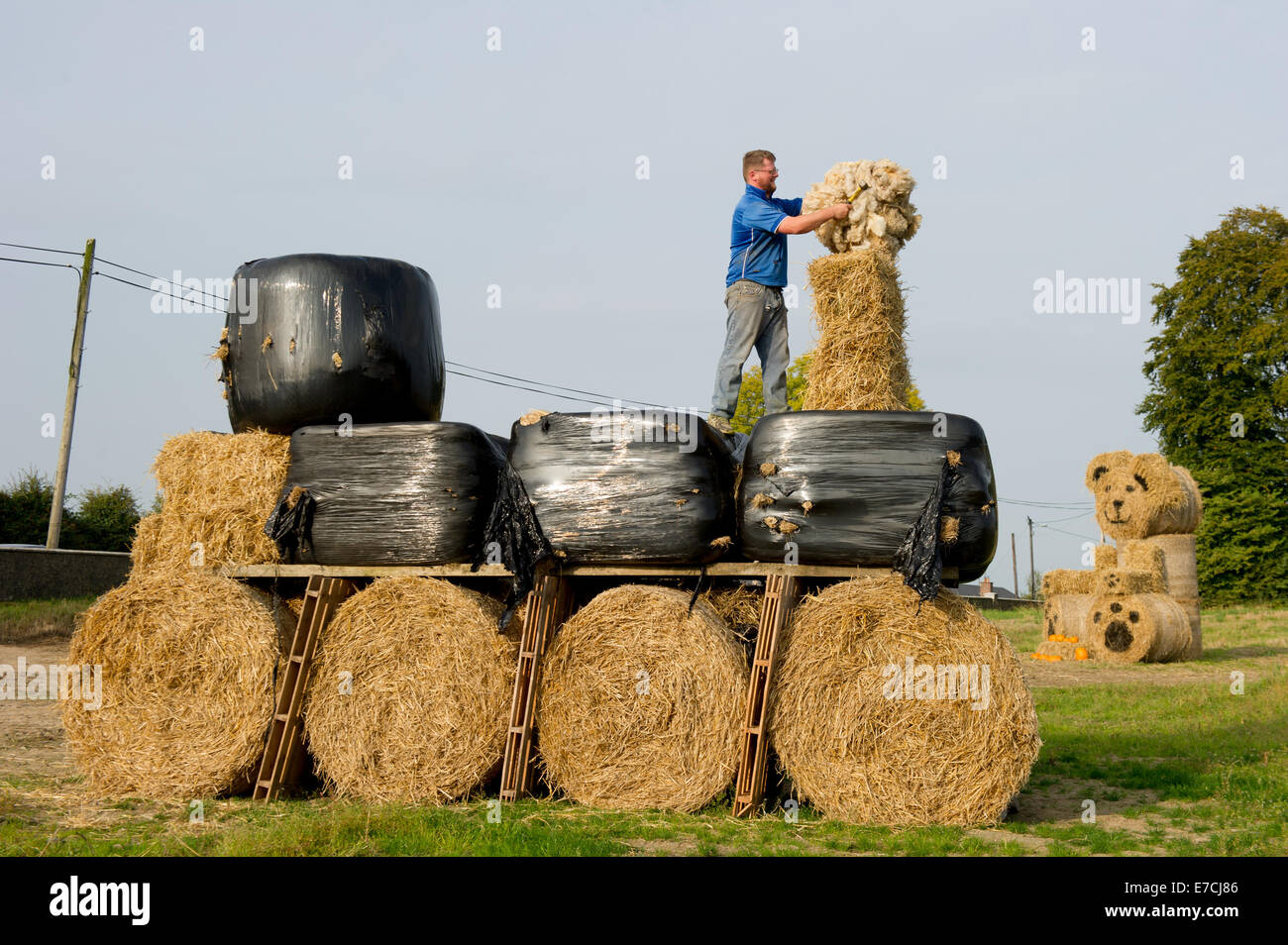 Fordstown, Kells, Grafschaft Meath, Irland. 13. September 2014. 13 ...