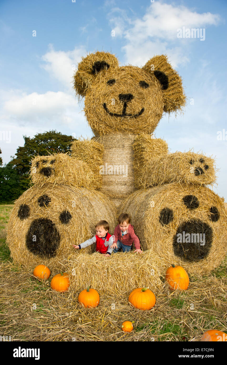 Fordstown, Kells, Grafschaft Meath, Irland. 13. September 2014. 13 ...