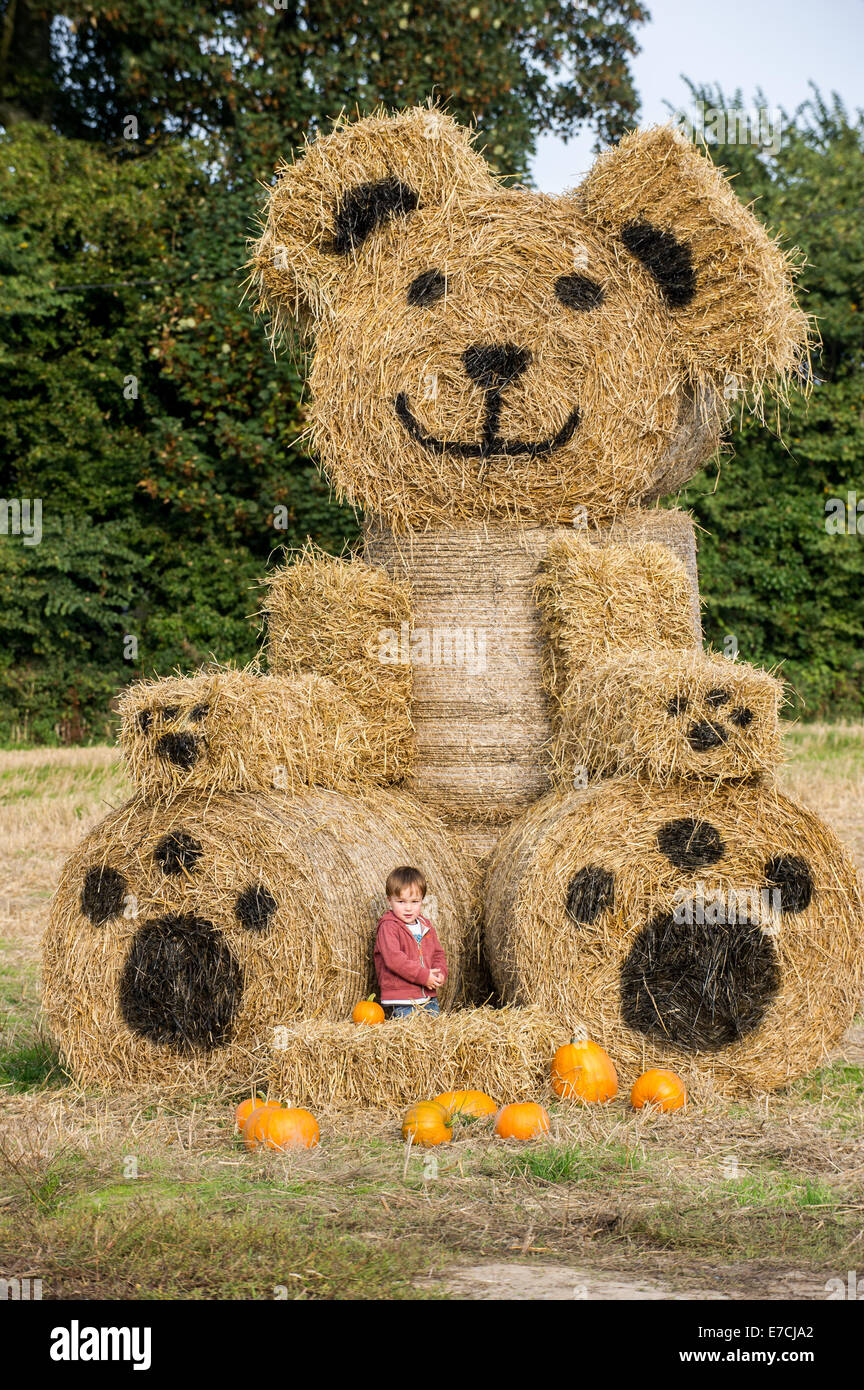 Fordstown, Kells, Grafschaft Meath, Irland. 13. September 2014. 13 ...