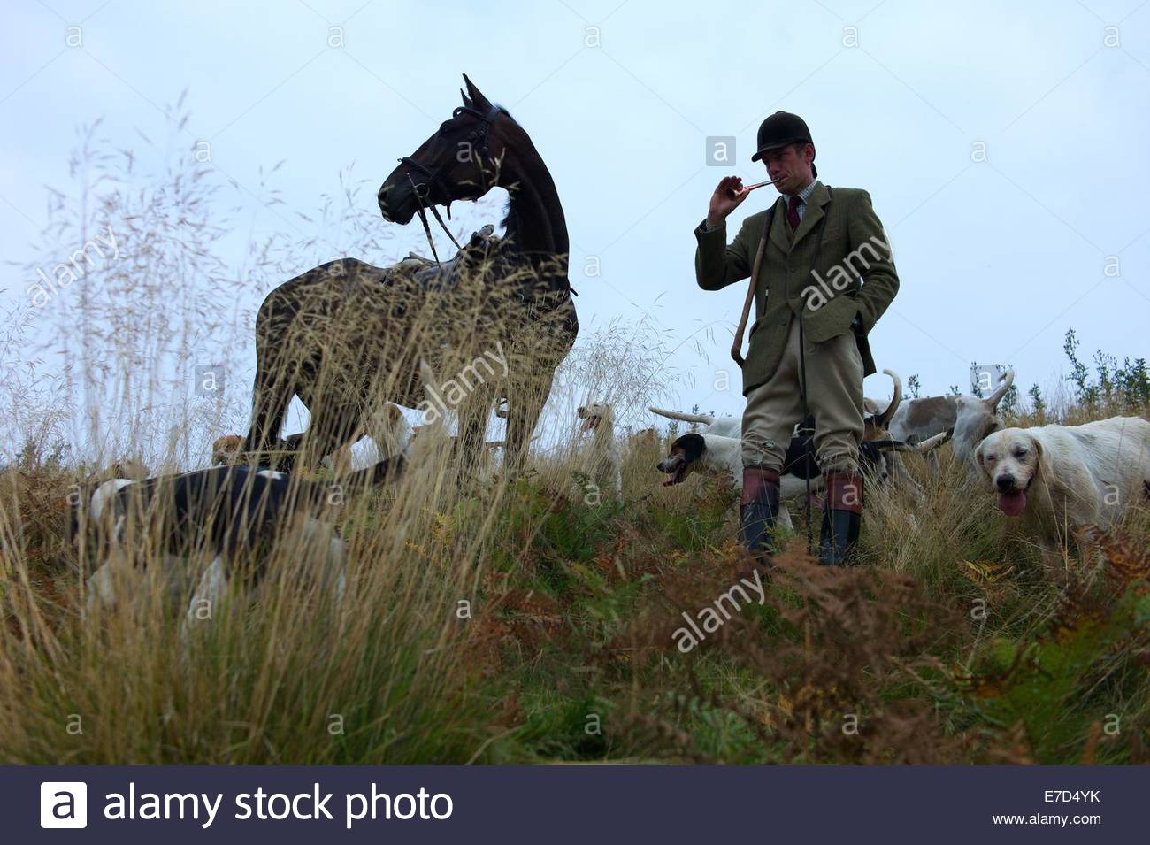 Hunting Horn Stockfotos & Hunting Horn Bilder - Alamy