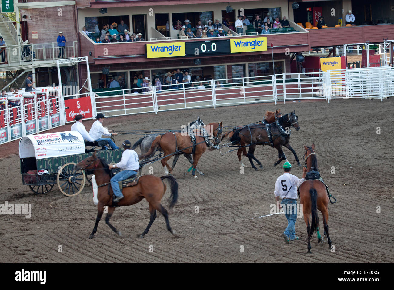 Alberta rodeo -Fotos und -Bildmaterial in hoher Auflösung – Alamy