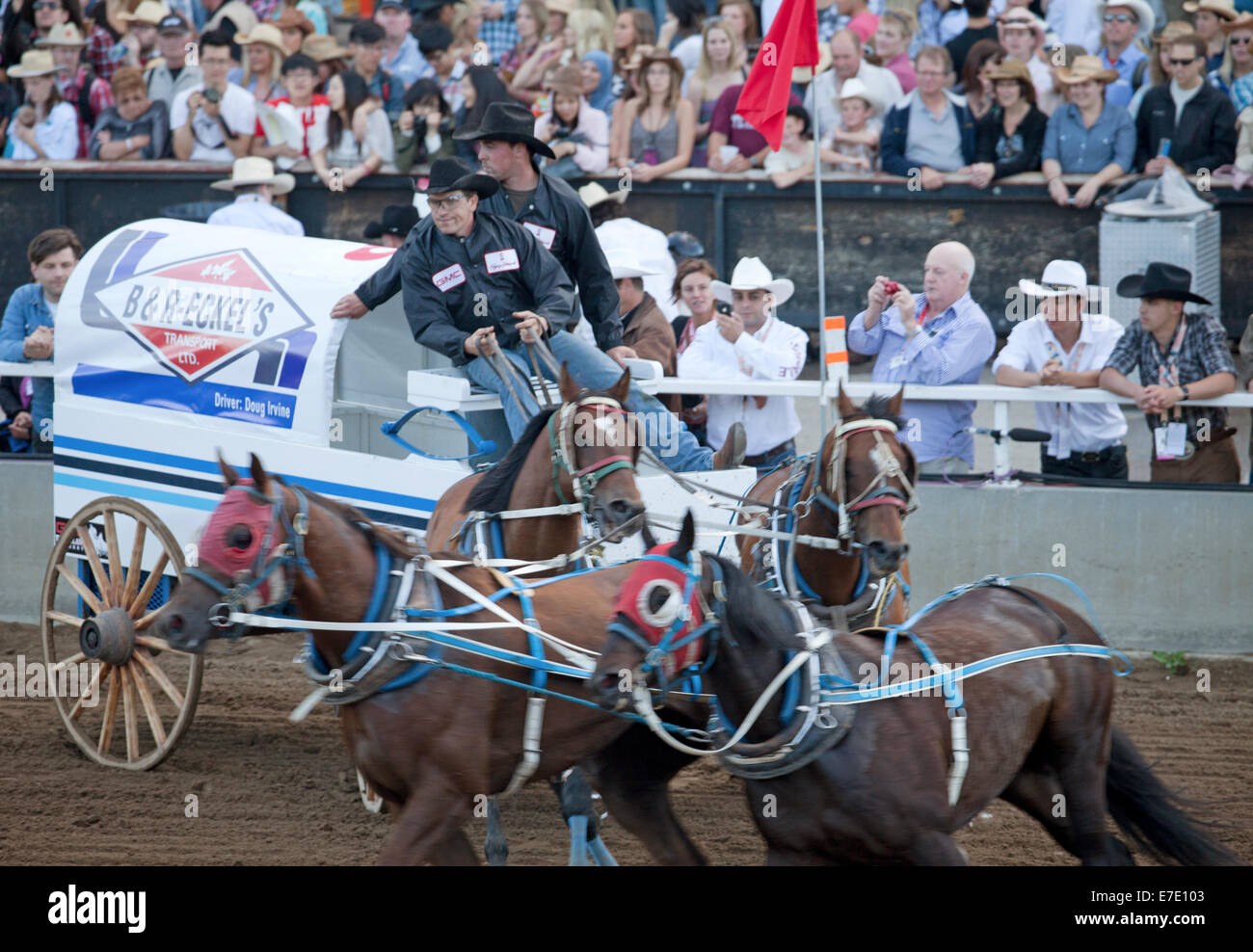 Alberta Rodeo Stockfotos und -bilder Kaufen - Alamy