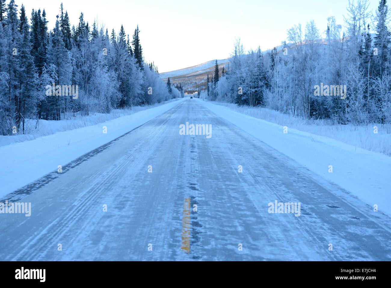 USA, USA, Amerika, Alaska, Fairbanks, Chena Hot Springs, Winter ...