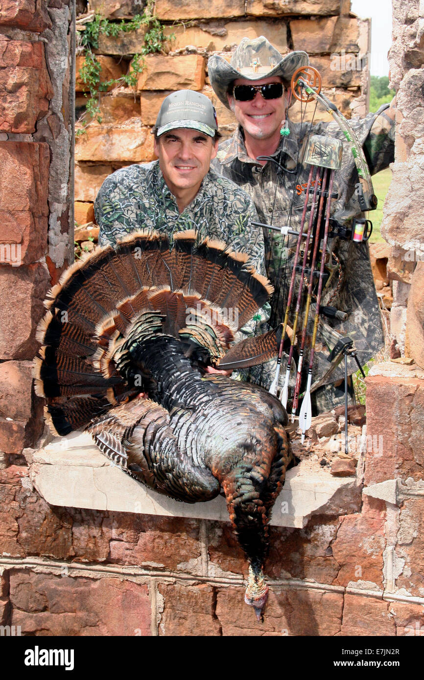 Ted nugent -Fotos und -Bildmaterial in hoher Auflösung – Alamy