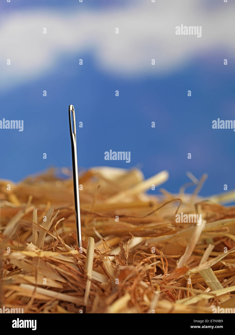 Needle in a haystack concept -Fotos und -Bildmaterial in hoher ...
