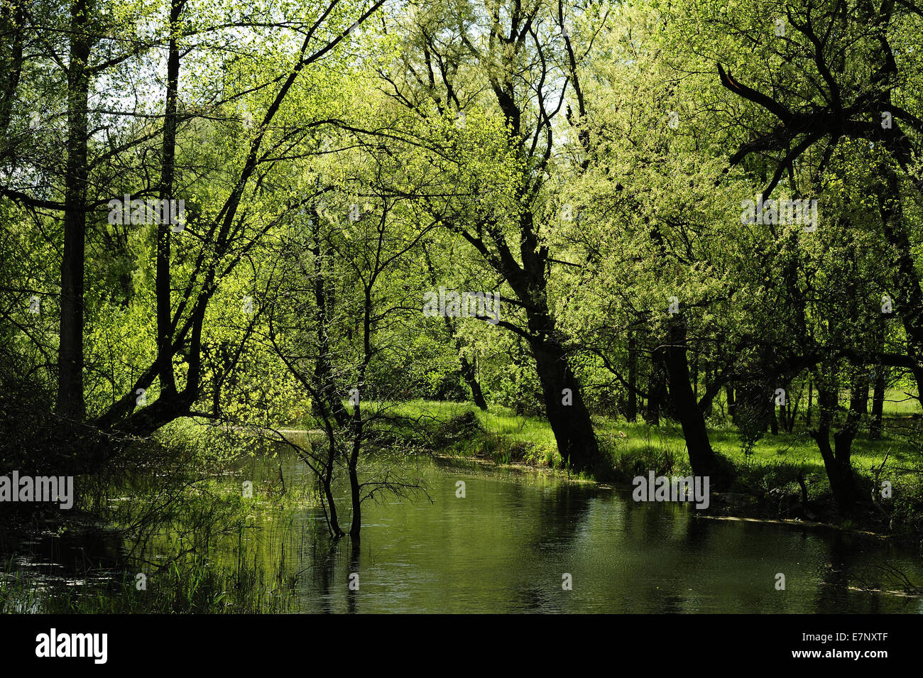 Flussdelta schweiz -Fotos und -Bildmaterial in hoher Auflösung – Alamy