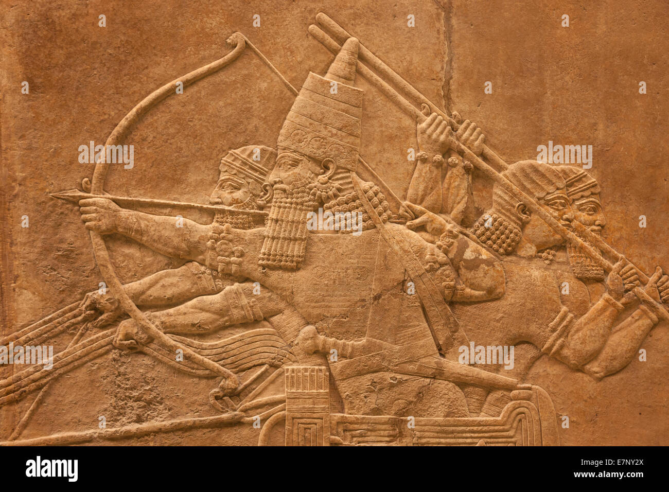 Königliche löwenjagd -Fotos und -Bildmaterial in hoher Auflösung – Alamy