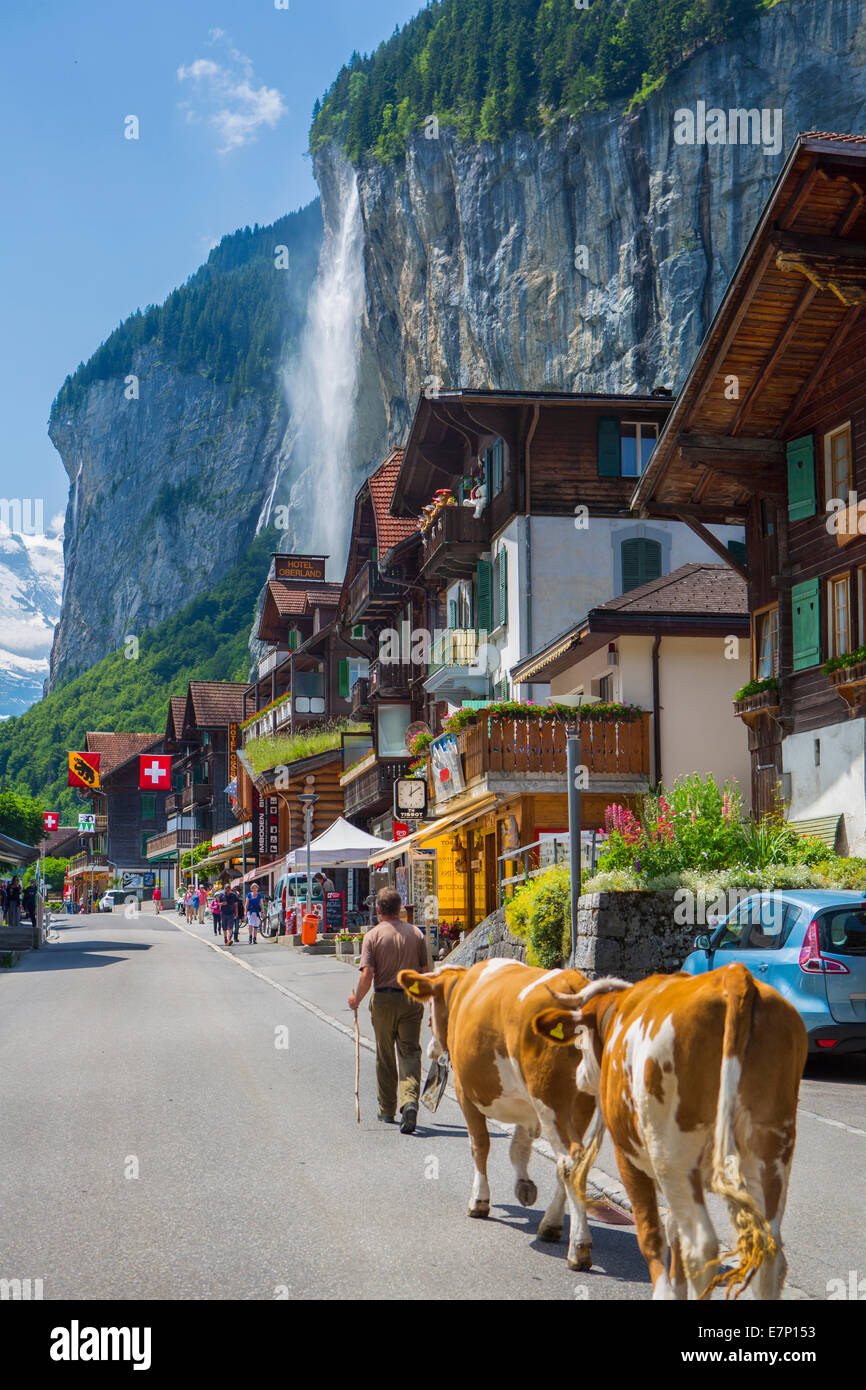 Kanton Bern, Berner Oberland, Wasserfall, Lauterbrunnen, Schweiz ...