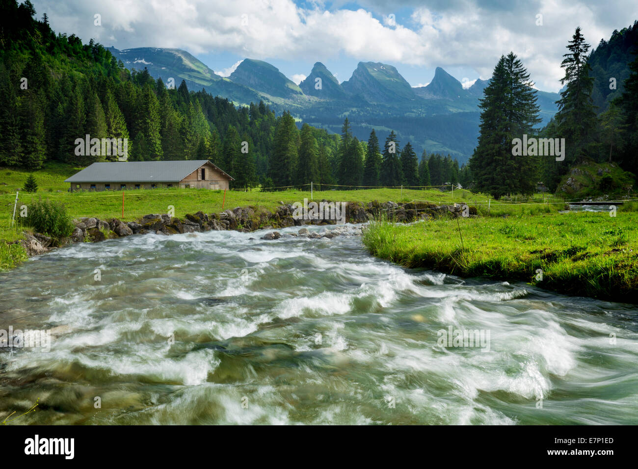 Aelpli, Unterwasser, Toggenburg, Churfirsten, Fluss, Fluss, Gewässer, Wasser, SG, Kanton St ...