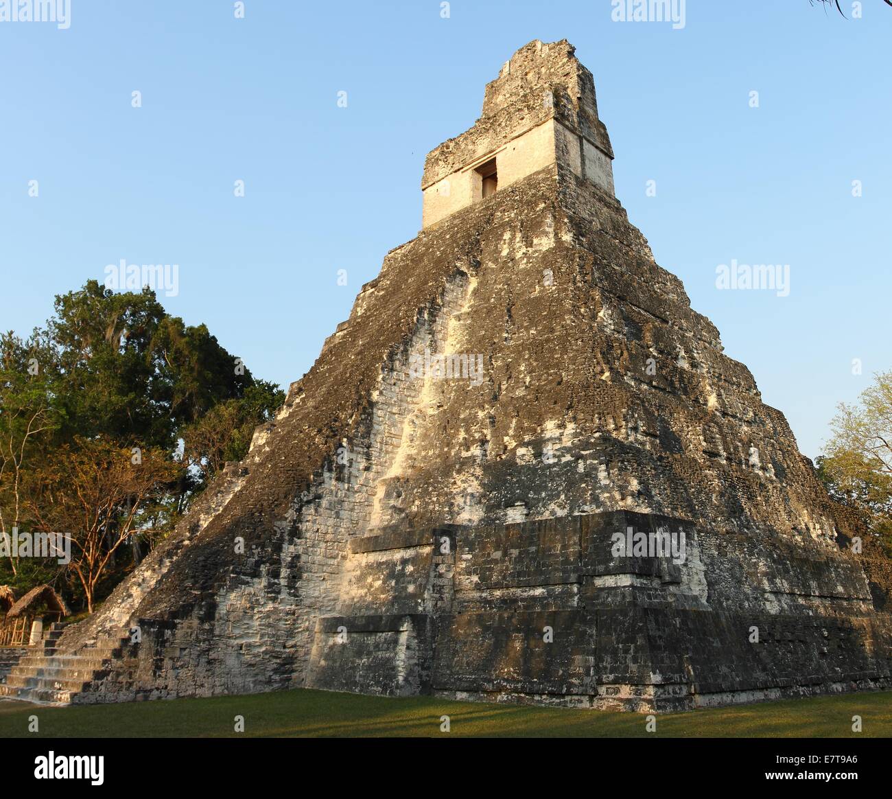 Maya tempel maya tempelwald guatemala tikal regenwald -Fotos und ...