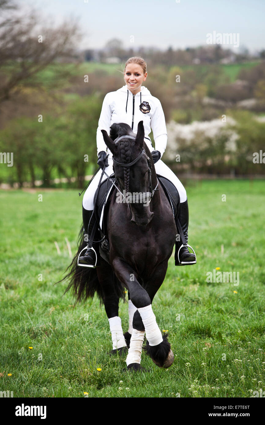 Rider Horse Riding Dressage Stockfotos und -bilder Kaufen - Alamy
