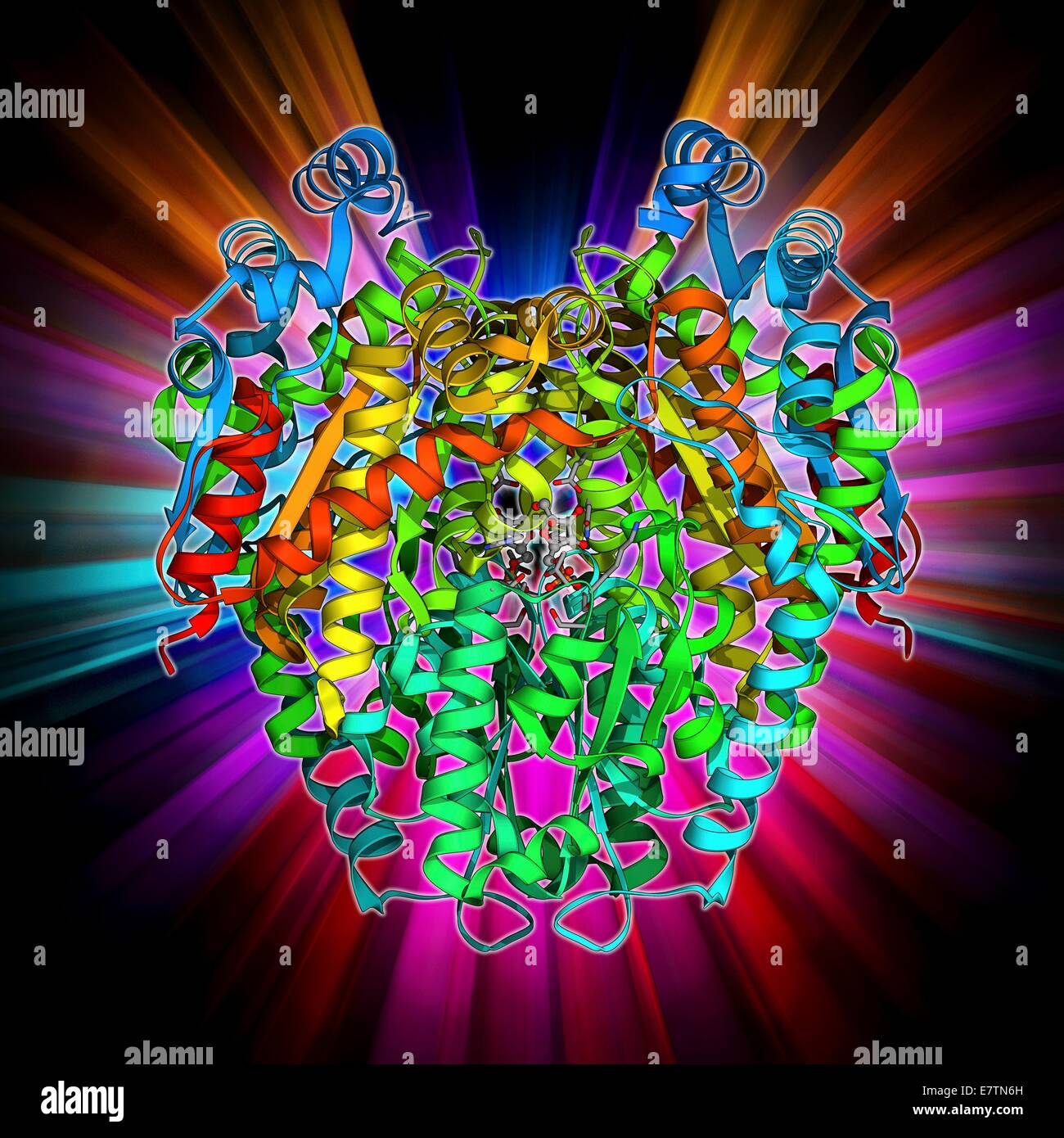 Fructose 6 phosphat -Fotos und -Bildmaterial in hoher Auflösung – Alamy