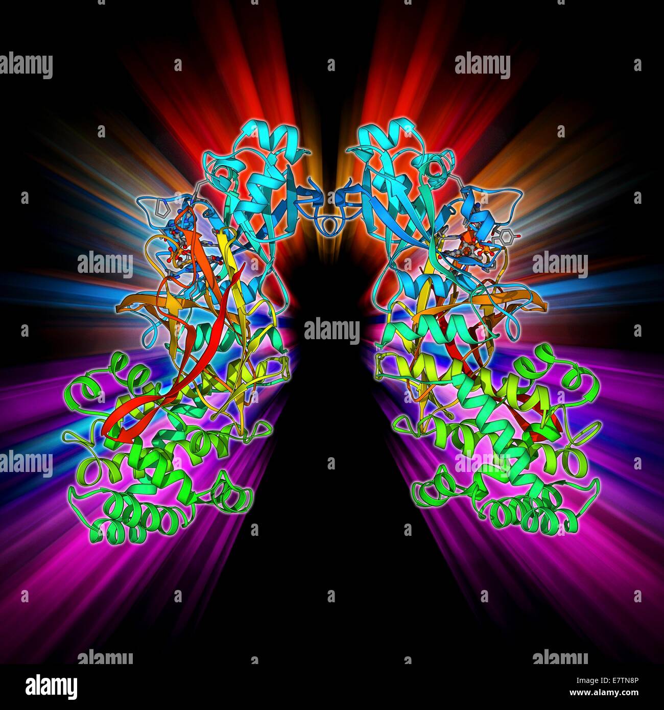Diphtherie-Toxin, Molekülmodell. Diphtherie wird durch das Bakterium ...