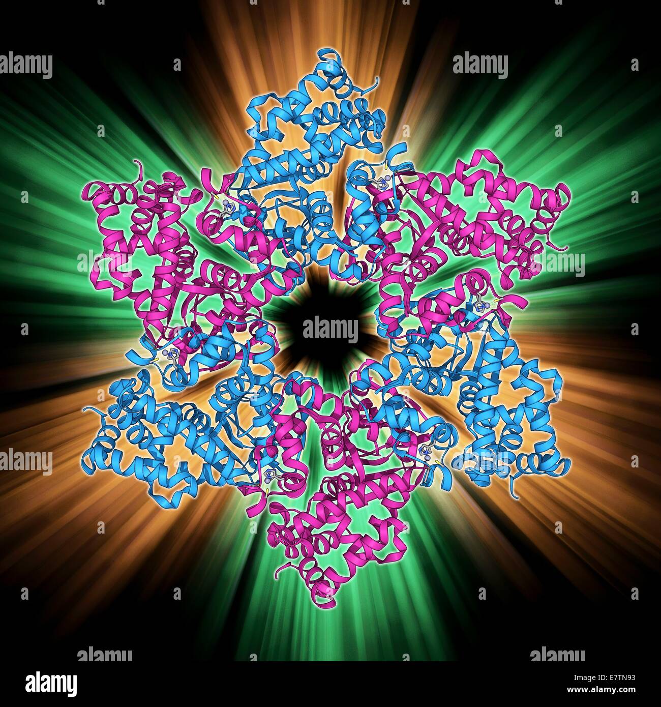 Dna helikase -Fotos und -Bildmaterial in hoher Auflösung – Alamy