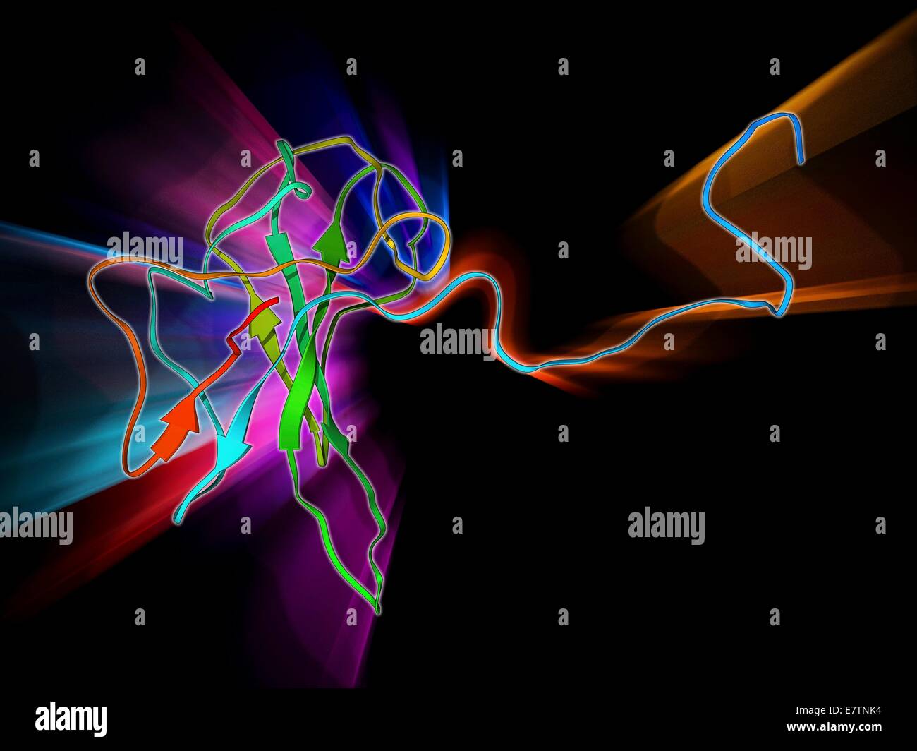 Rna binding -Fotos und -Bildmaterial in hoher Auflösung – Alamy