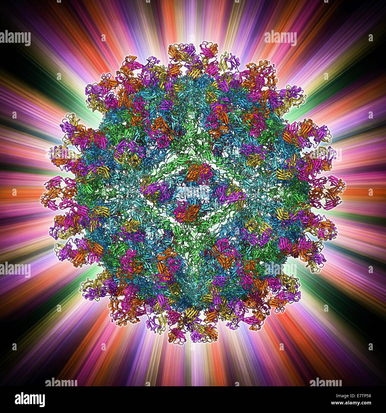 West nile virus particle -Fotos und -Bildmaterial in hoher Auflösung ...