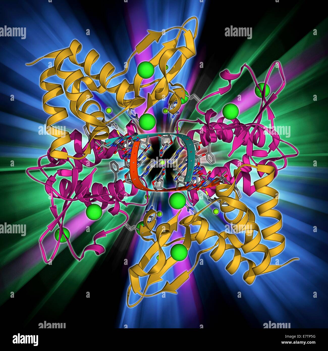 Viral protein -Fotos und -Bildmaterial in hoher Auflösung – Alamy