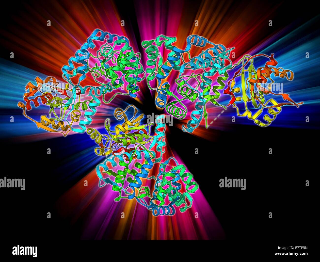Nucleocapsid protein -Fotos und -Bildmaterial in hoher Auflösung – Alamy