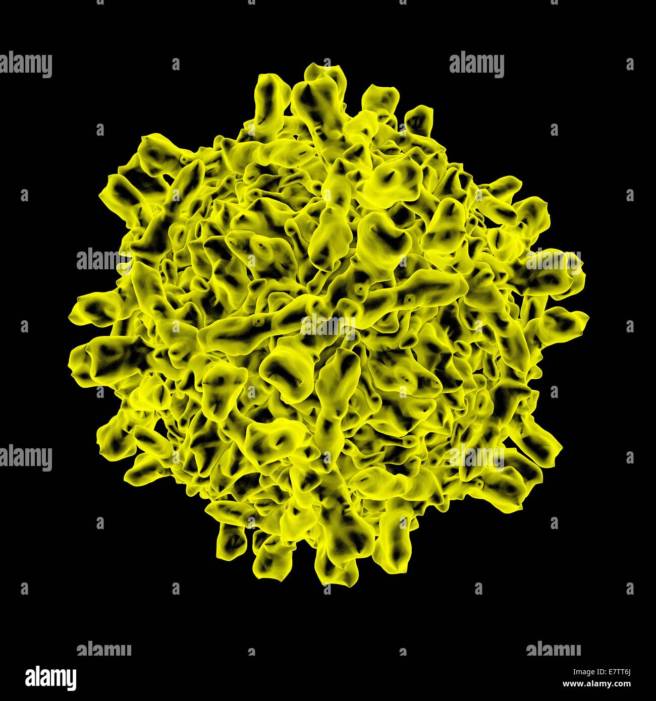 Orphan virus -Fotos und -Bildmaterial in hoher Auflösung – Alamy