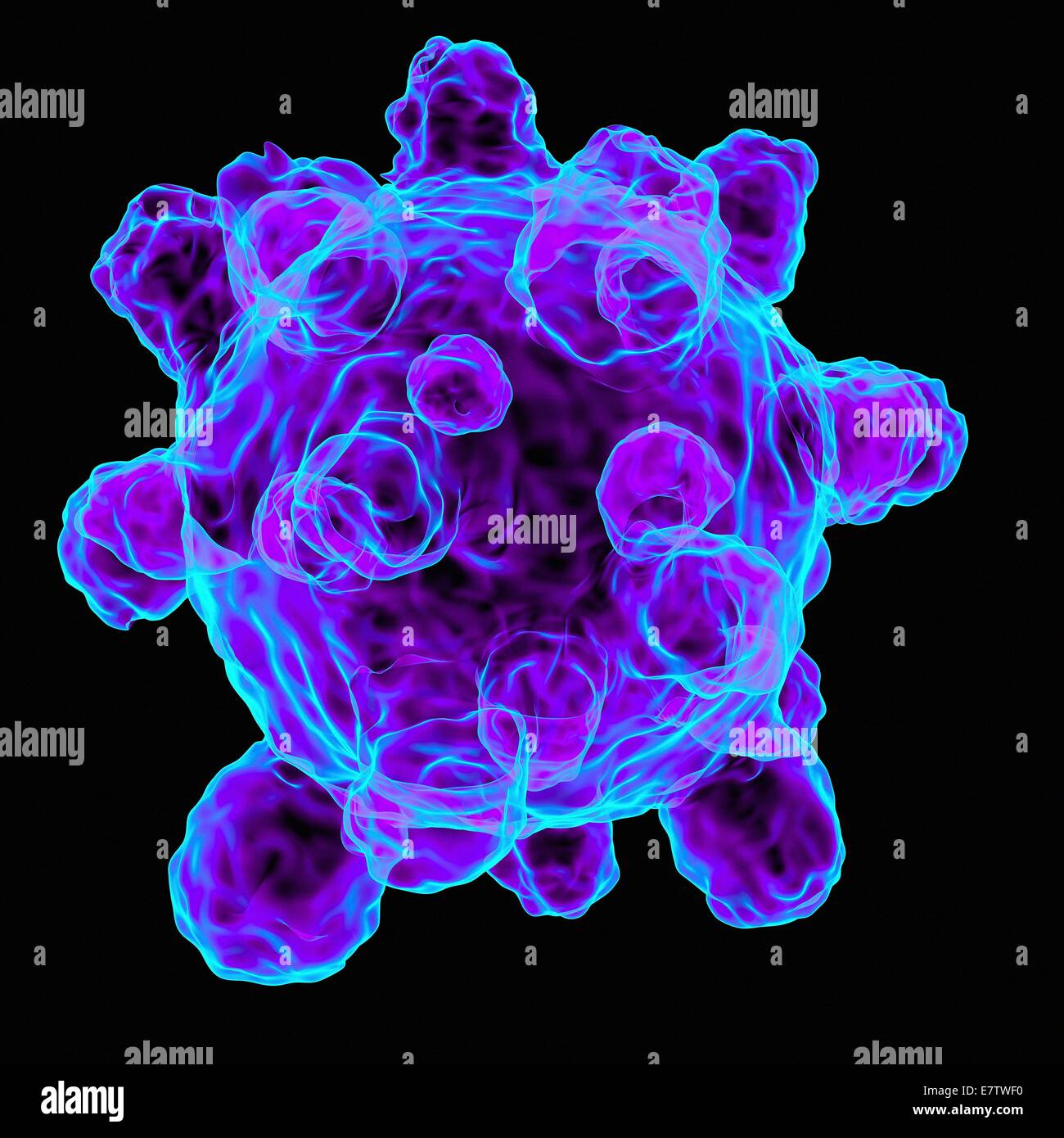 Masernvirus modell -Fotos und -Bildmaterial in hoher Auflösung – Alamy