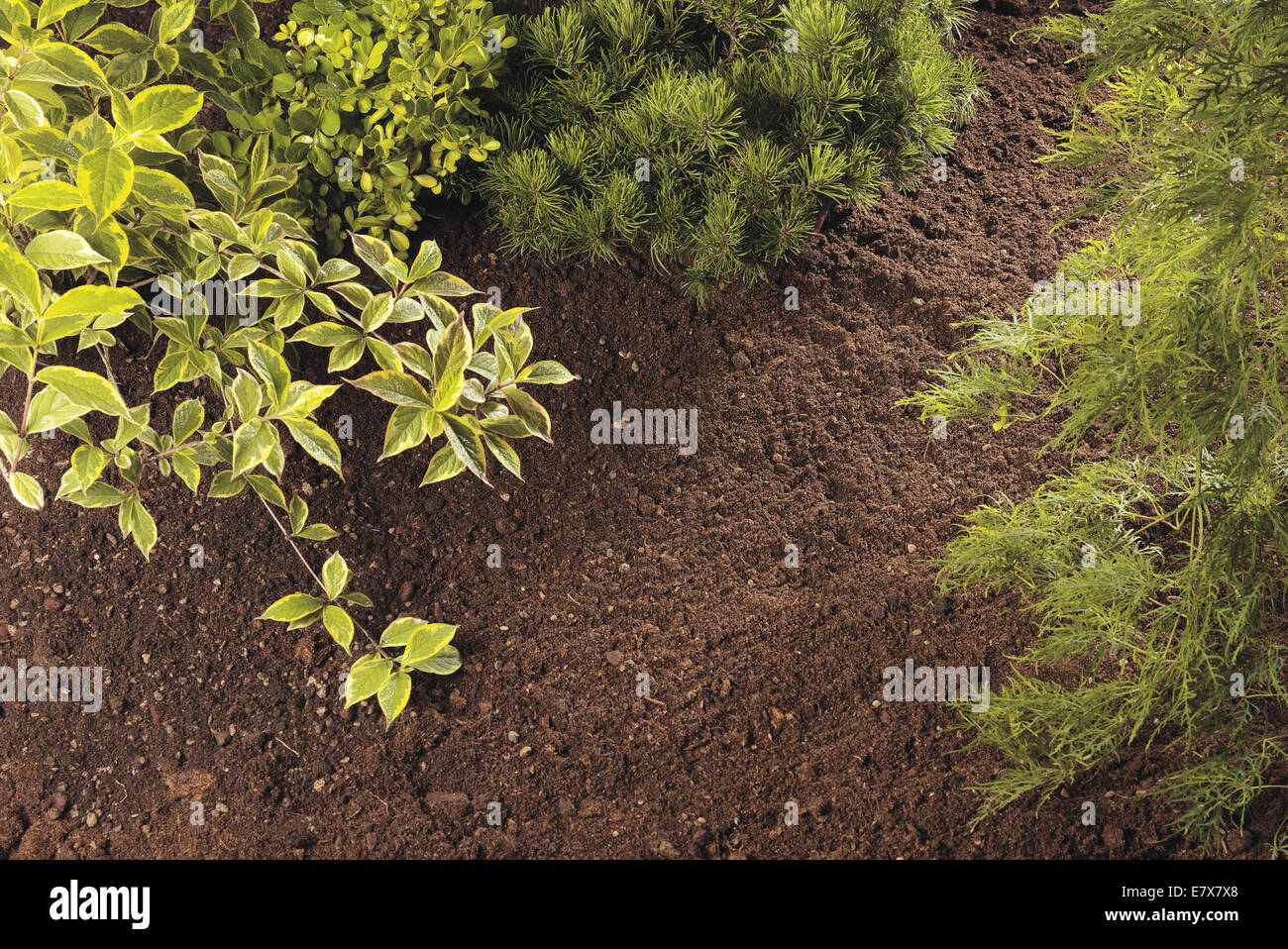 Earth Grass Soil Background Texture Stockfotos & Earth Grass Soil ...