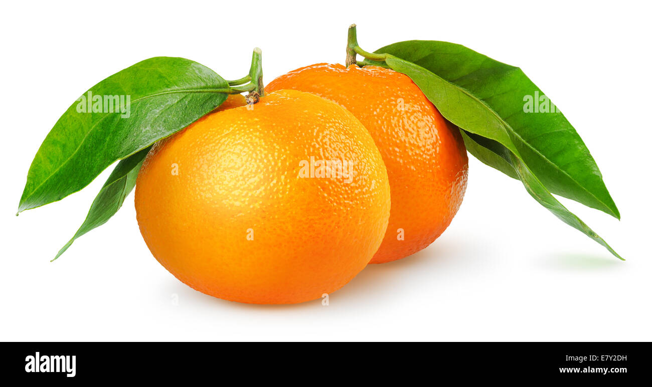 Zwei mandarinen -Fotos und -Bildmaterial in hoher Auflösung – Alamy