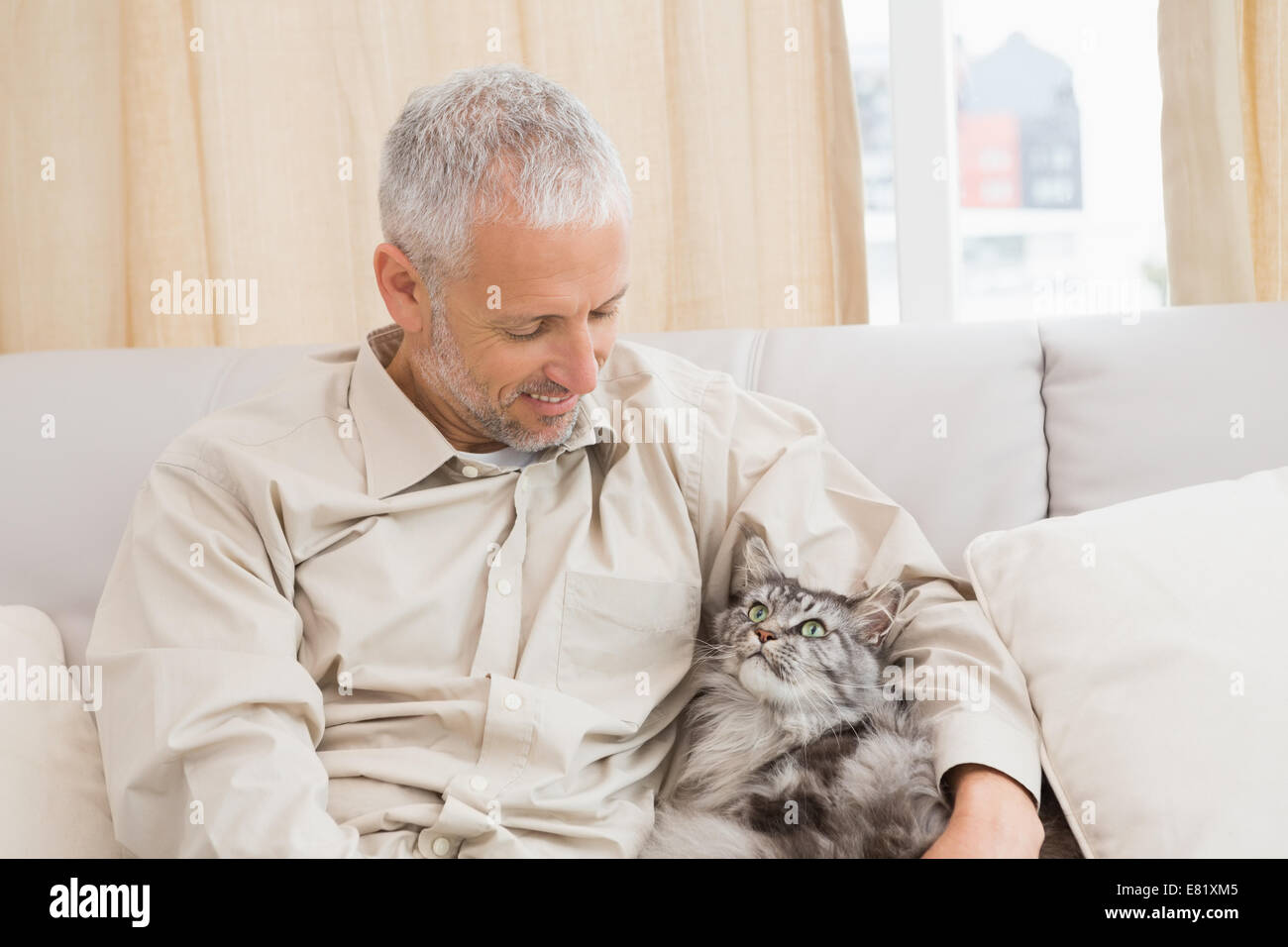 Katze auf dem sofa arm -Fotos und -Bildmaterial in hoher Auflösung – Alamy