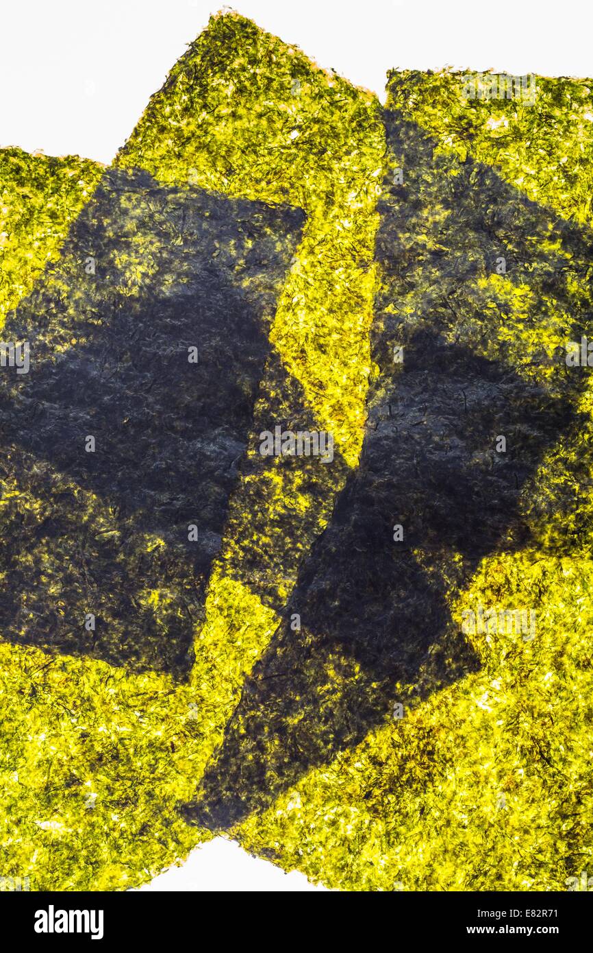 Algen als nahrung -Fotos und -Bildmaterial in hoher Auflösung – Alamy