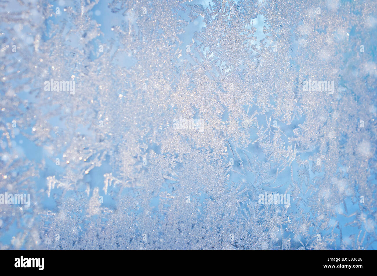 Mattes glas -Fotos und -Bildmaterial in hoher Auflösung – Alamy