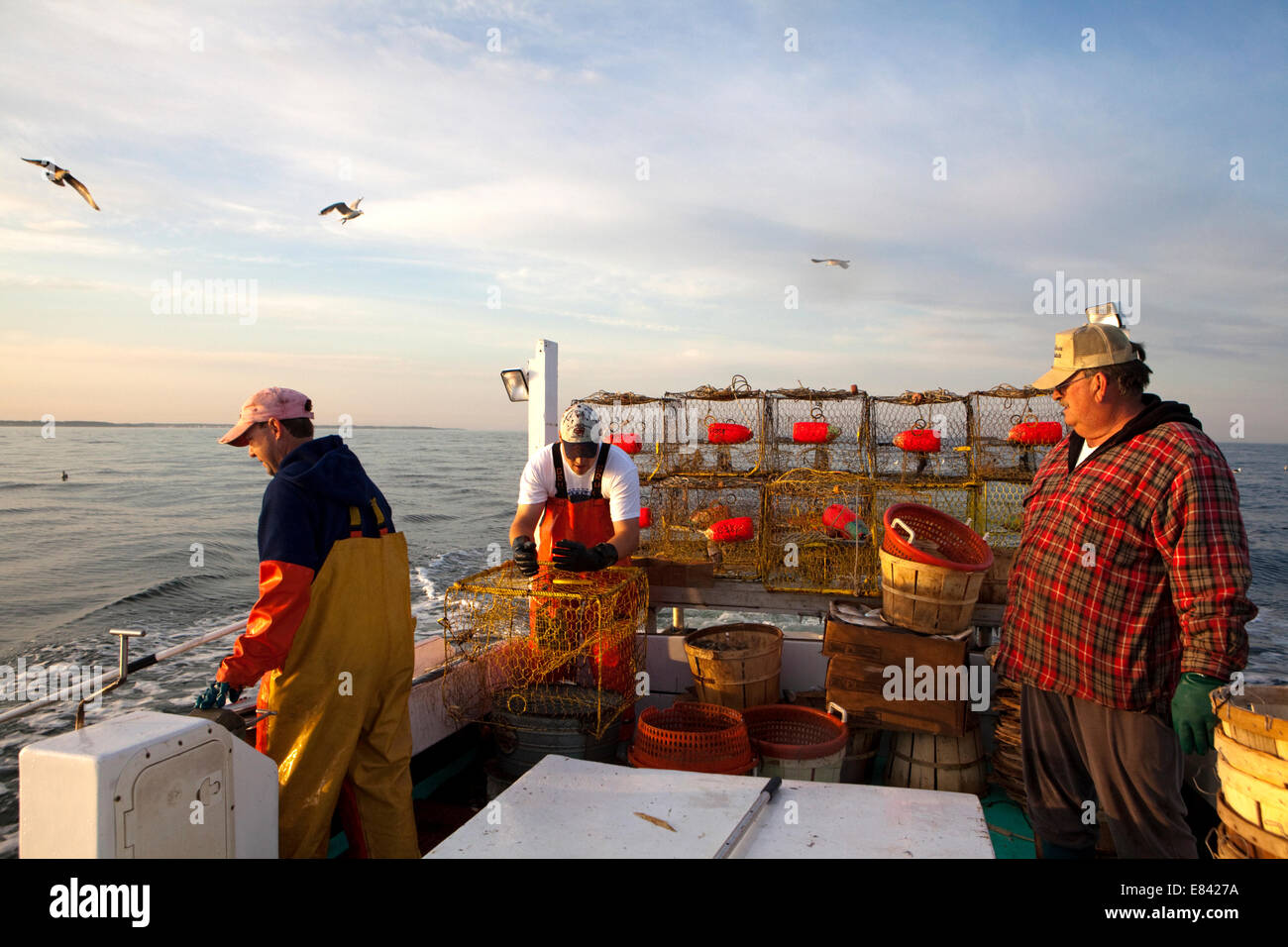Crab fisherman entladen Crab fallen ins Meer vom Fischerboot, Tanger ...