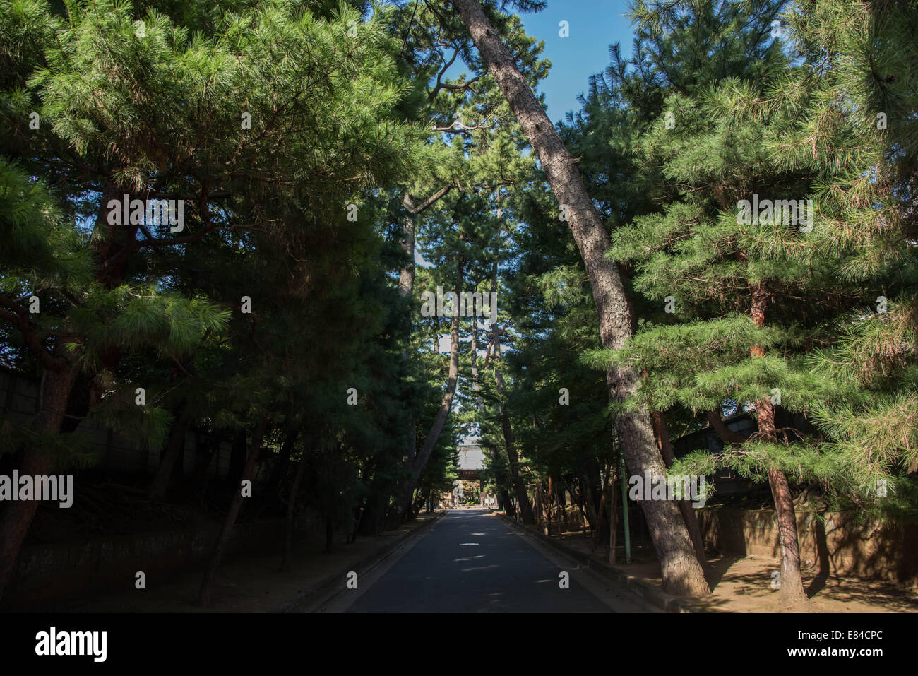 Setagaya buddha -Fotos und -Bildmaterial in hoher Auflösung – Alamy