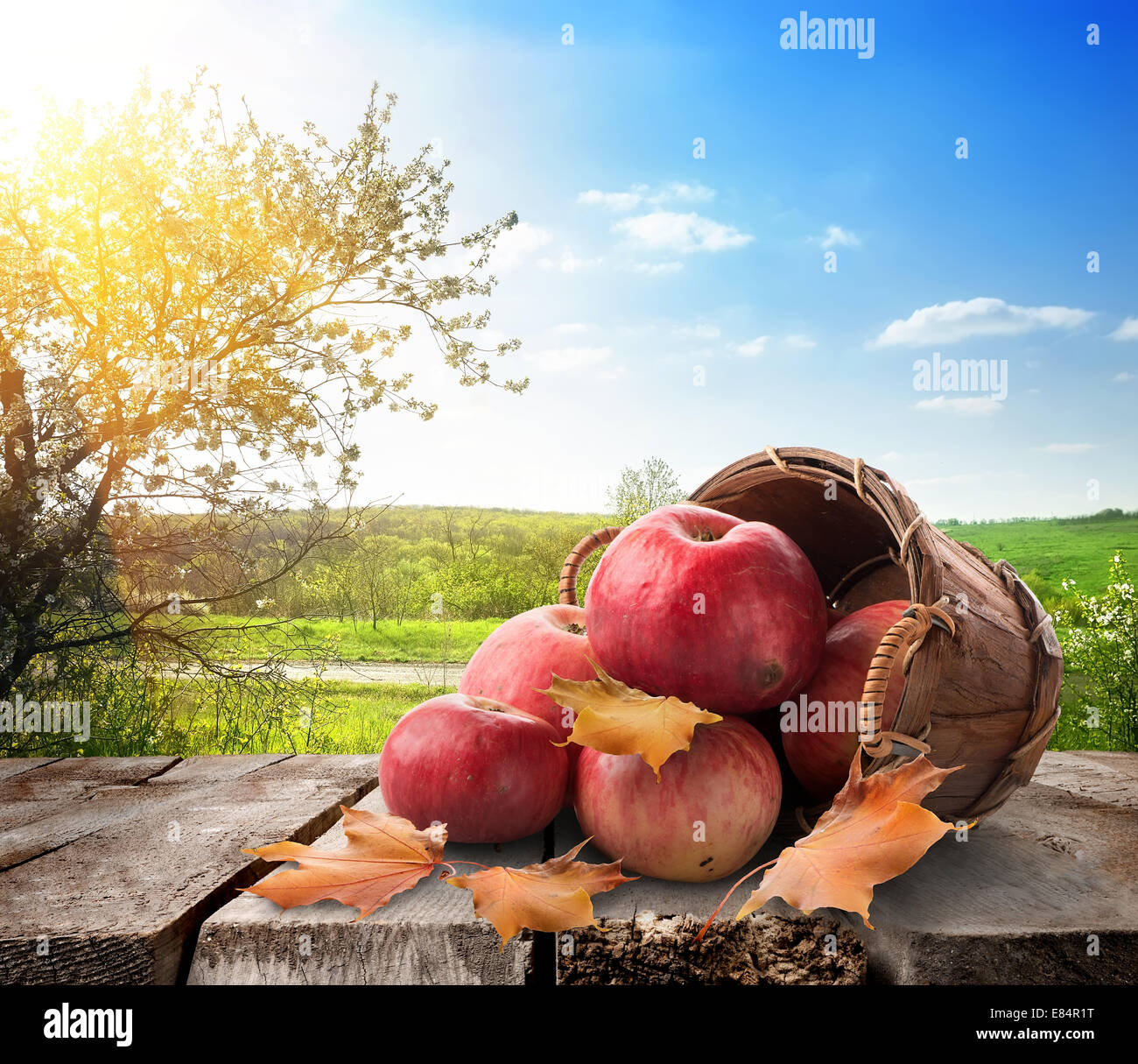 äpfel in einem korb -Fotos und -Bildmaterial in hoher Auflösung – Alamy