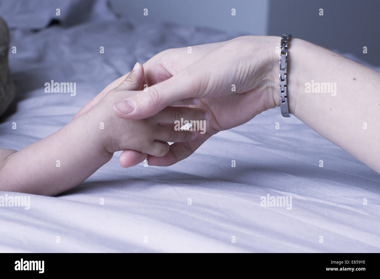 Babys hand halten -Fotos und -Bildmaterial in hoher Auflösung – Alamy
