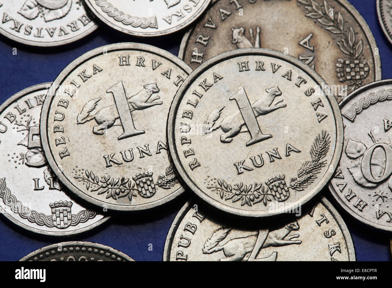 1 Kuna Stockfotos und -bilder Kaufen - Alamy