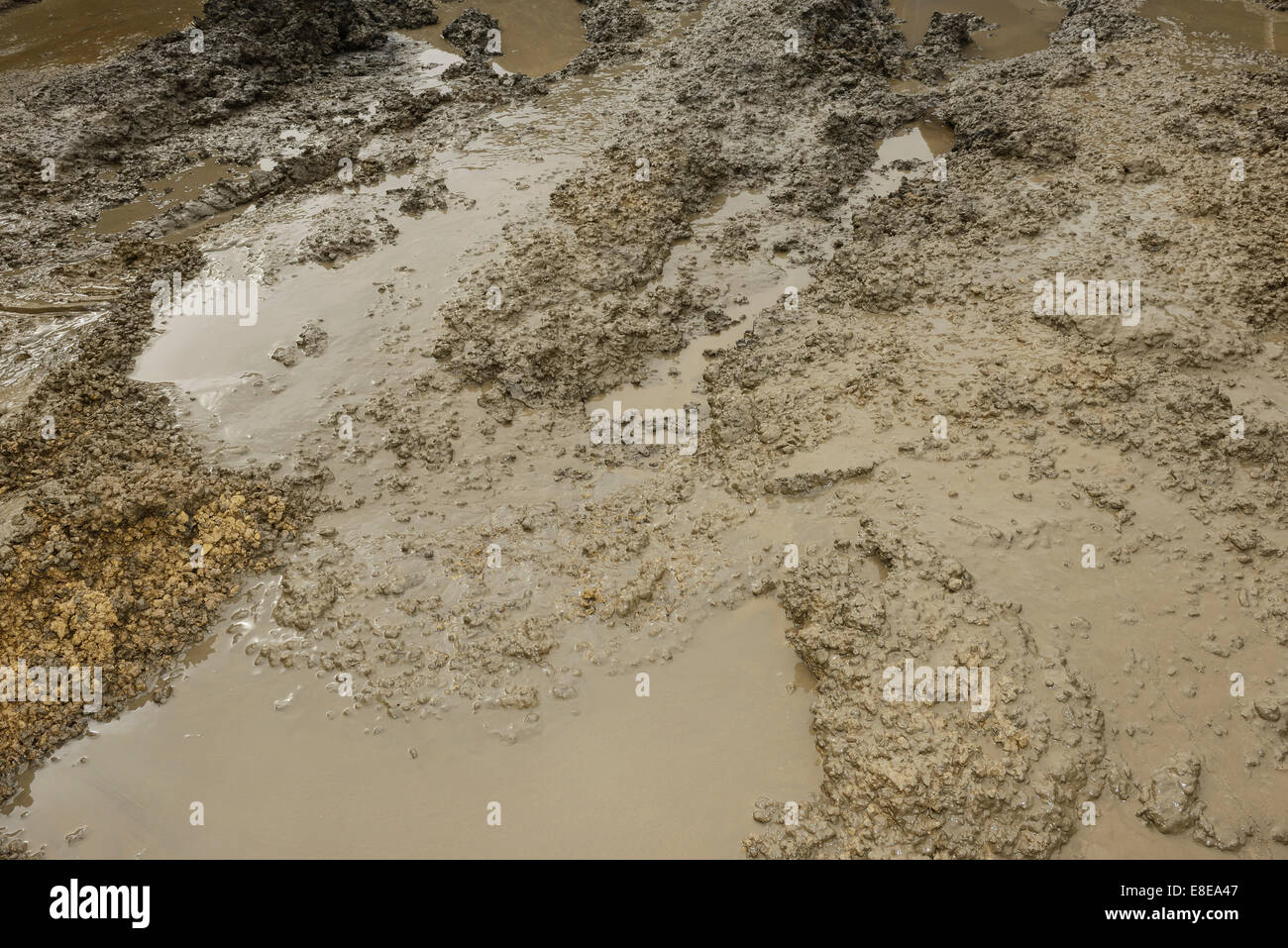 Puddle puddles -Fotos und -Bildmaterial in hoher Auflösung – Alamy