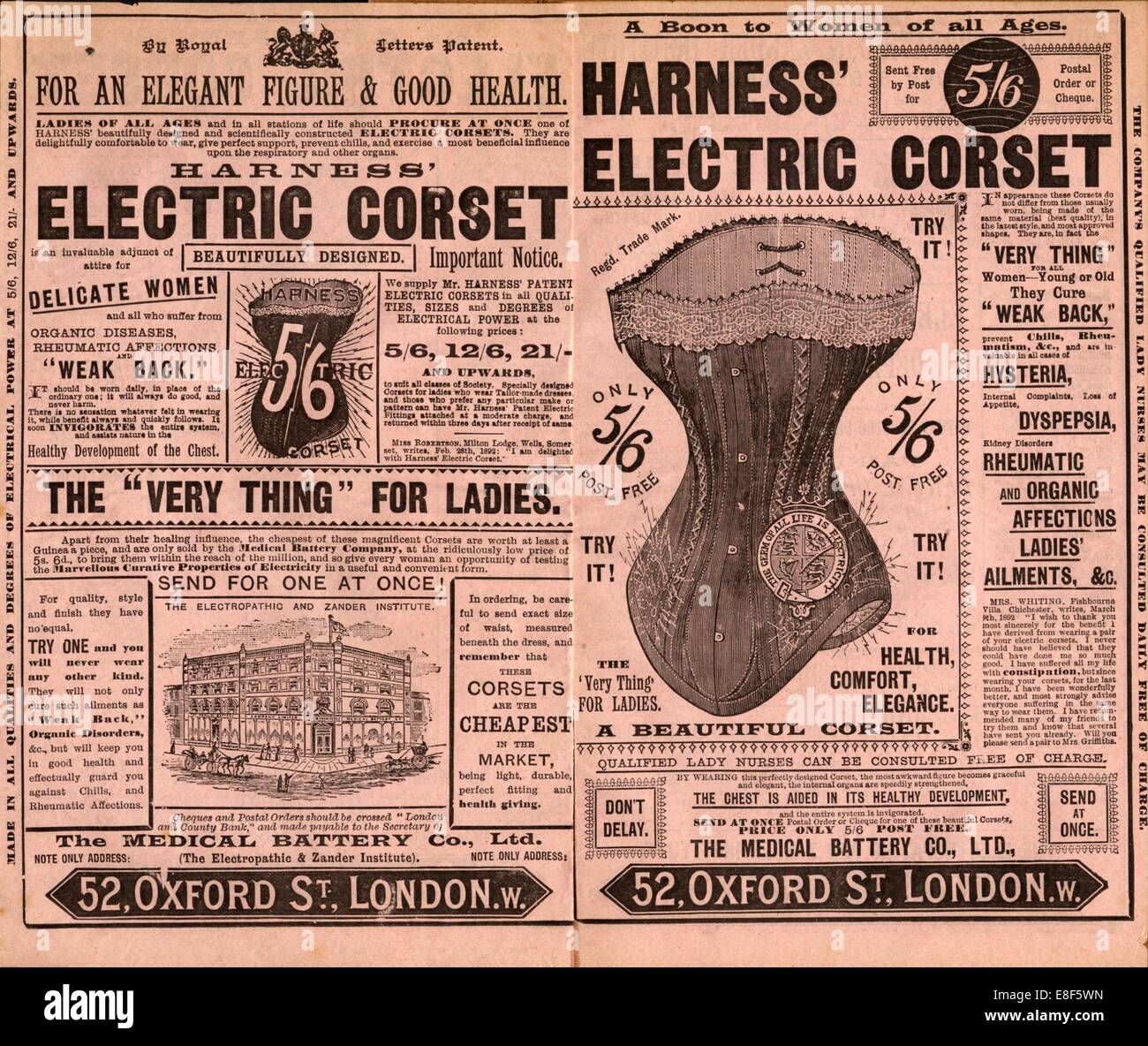 Harness electropathic belt -Fotos und -Bildmaterial in hoher Auflösung – Alamy