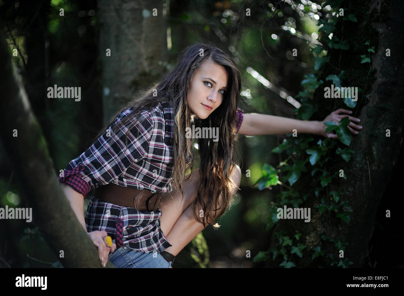 Ein Mädchen In einem Baum Stockfotografie - Alamy
