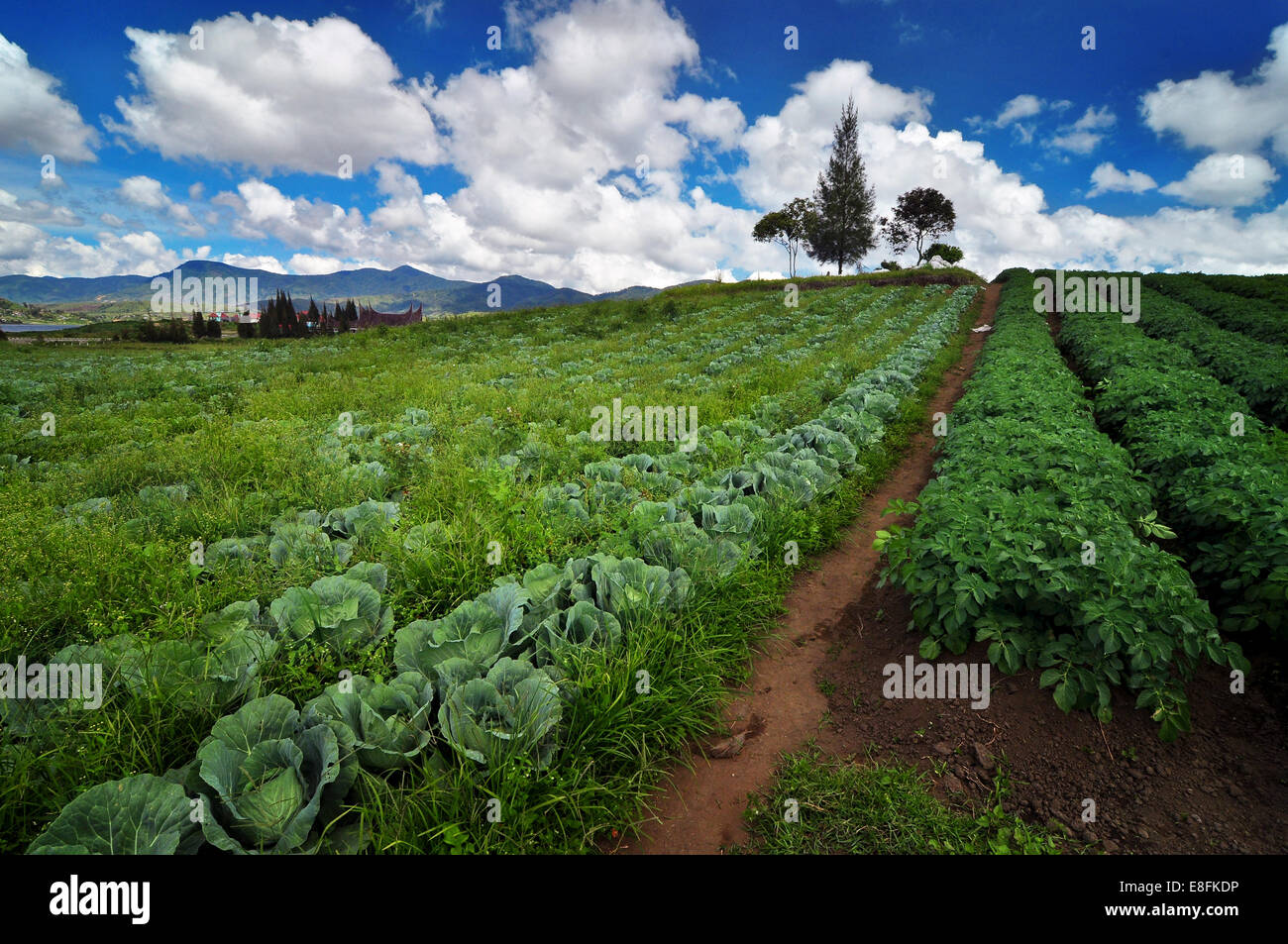 Alahan panjang -Fotos und -Bildmaterial in hoher Auflösung – Alamy