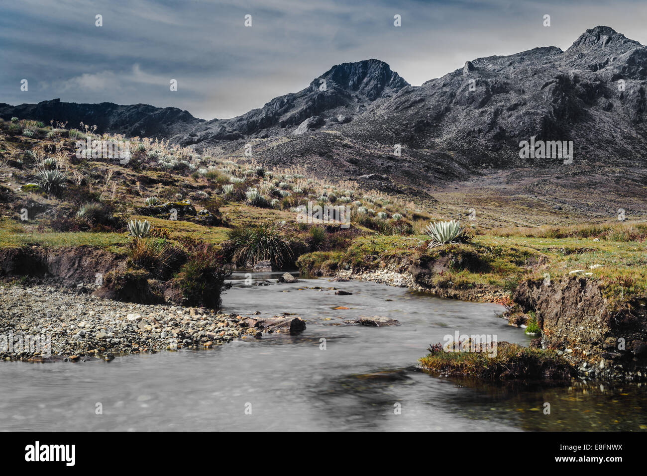 Von venezuela -Fotos und -Bildmaterial in hoher Auflösung – Alamy