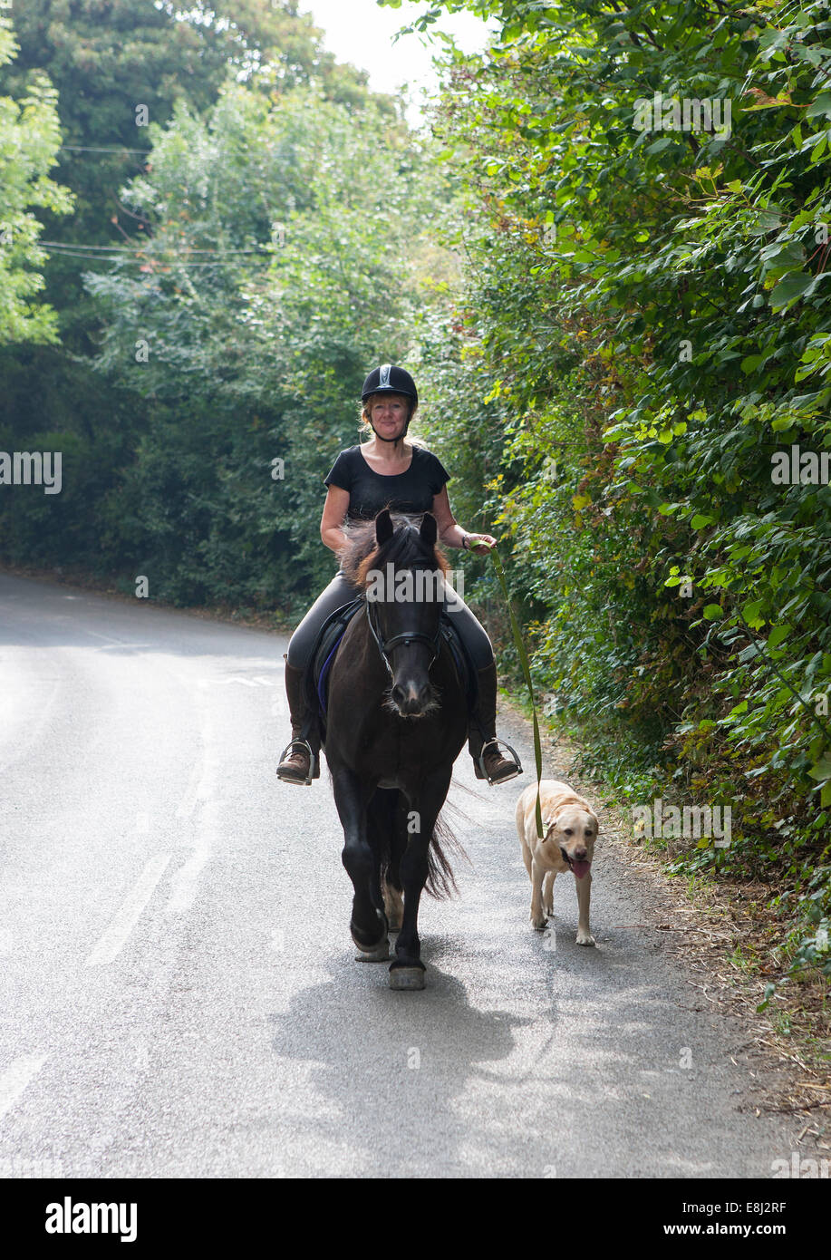 Gleichzeitig -Fotos und -Bildmaterial in hoher Auflösung – Alamy