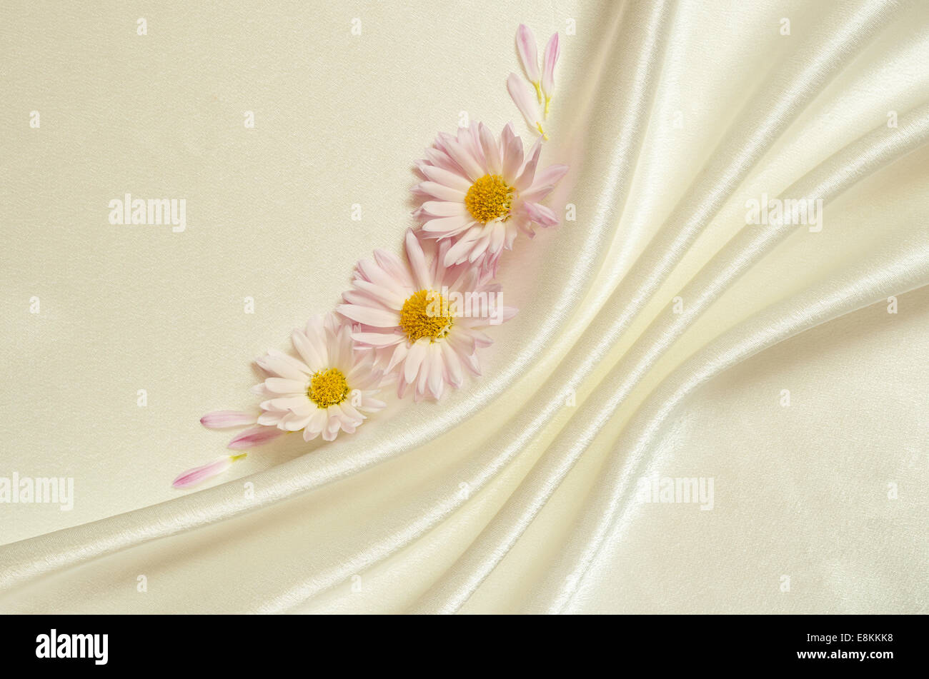 Diagonale falten -Fotos und -Bildmaterial in hoher Auflösung – Alamy Diagonale falten -Fotos und -Bildmaterial in hoher Auflösung – Alamy