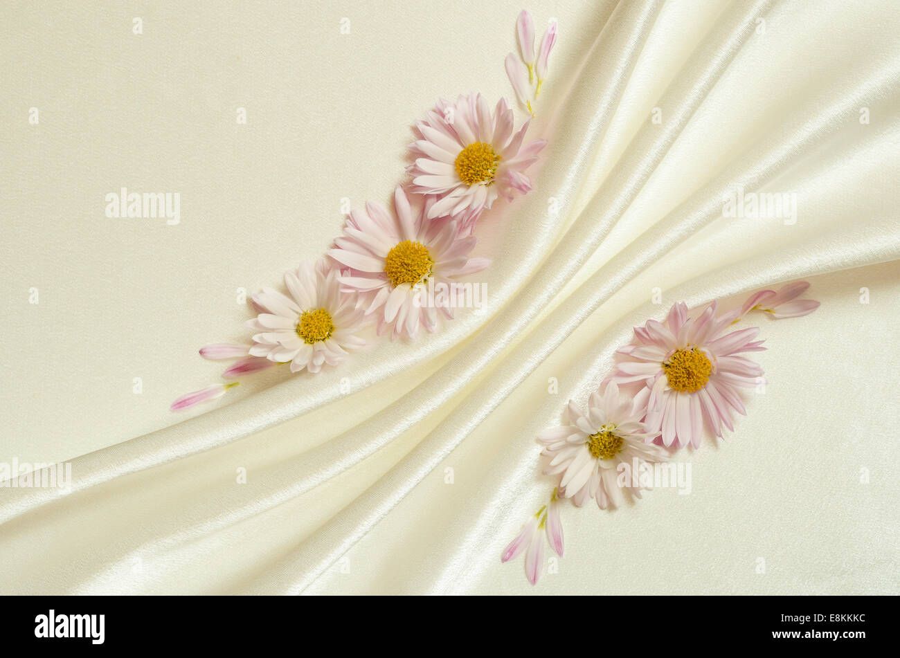 Diagonale falten -Fotos und -Bildmaterial in hoher Auflösung – Alamy Diagonale falten -Fotos und -Bildmaterial in hoher Auflösung – Alamy