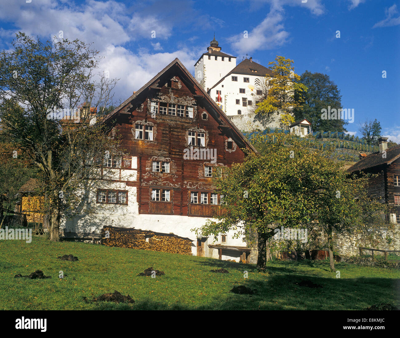 Werdenberg Schloss Werdenberg Schloss, Kanton St. Gallen, Schweiz ...