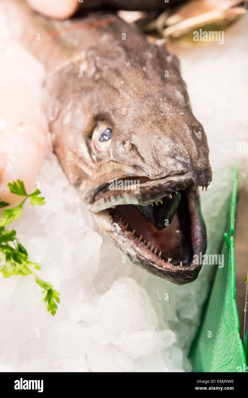 Leckerer frischer fisch -Fotos und -Bildmaterial in hoher Auflösung – Alamy