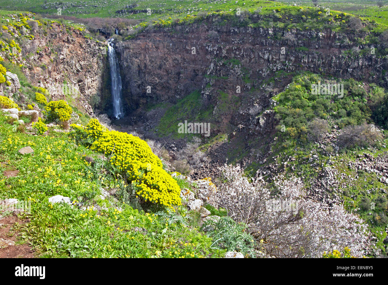 Golan Heights Stockfotos und -bilder Kaufen - Alamy