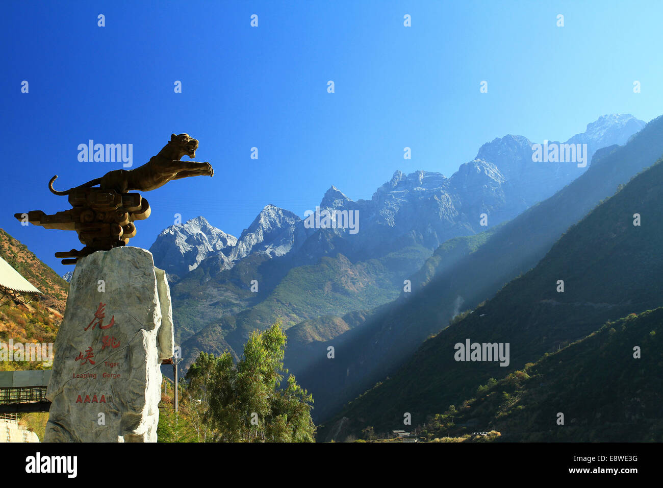 South china tiger Stockfotos und -bilder Kaufen - Alamy