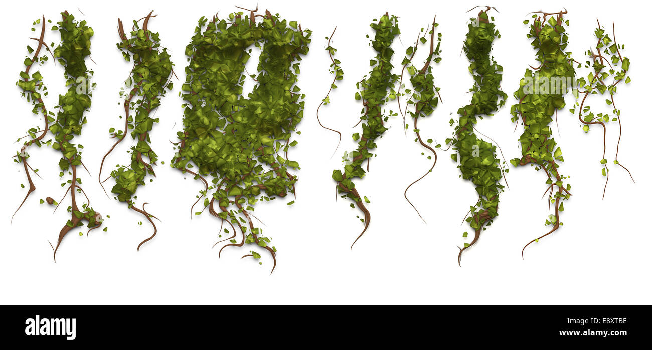 Zeichnung von efeu -Fotos und -Bildmaterial in hoher Auflösung – Alamy