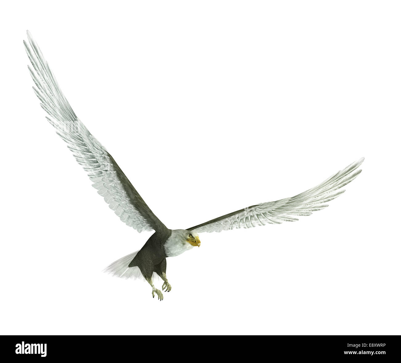 Adler clipart -Fotos und -Bildmaterial in hoher Auflösung – Alamy